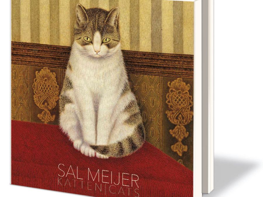 Kaartenmapje met env, vierkant: Katten-Cats, Sal Meijer, JHM kopen ...