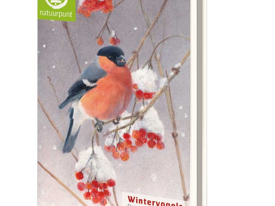 Kaartenmapje met env, groot: Wintervogels 2, Elwin van der Kolk ...
