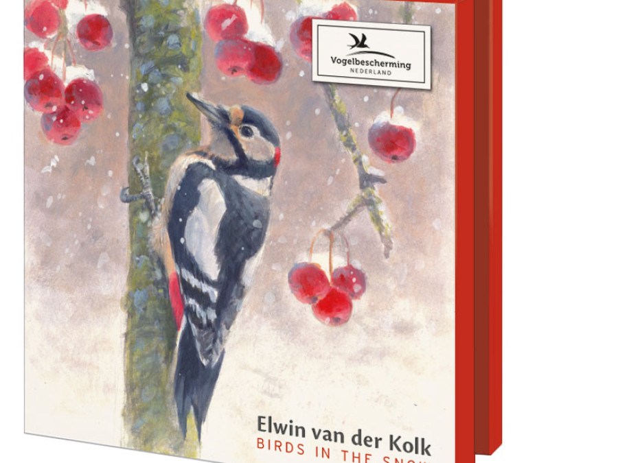 Buy Card folder with env, Square: Birds in the snow, Elwin van der Kolk ...
