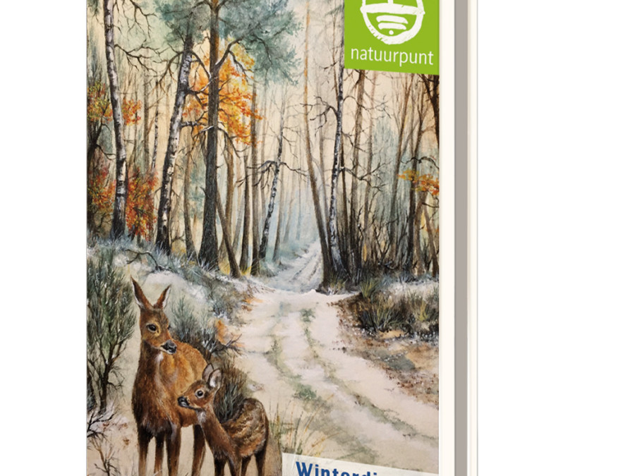 Buy Card folder with env. Large: Winterdieren, Dennis Meijering ...