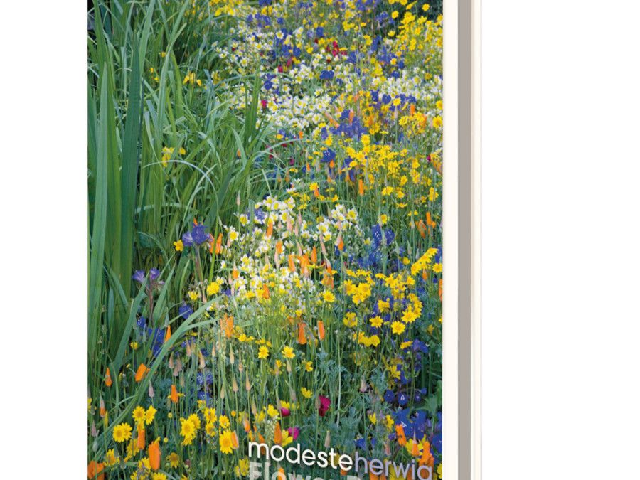 Buy Card folder with env. Large: Flower Power, Modeste Herwig | Bekking ...