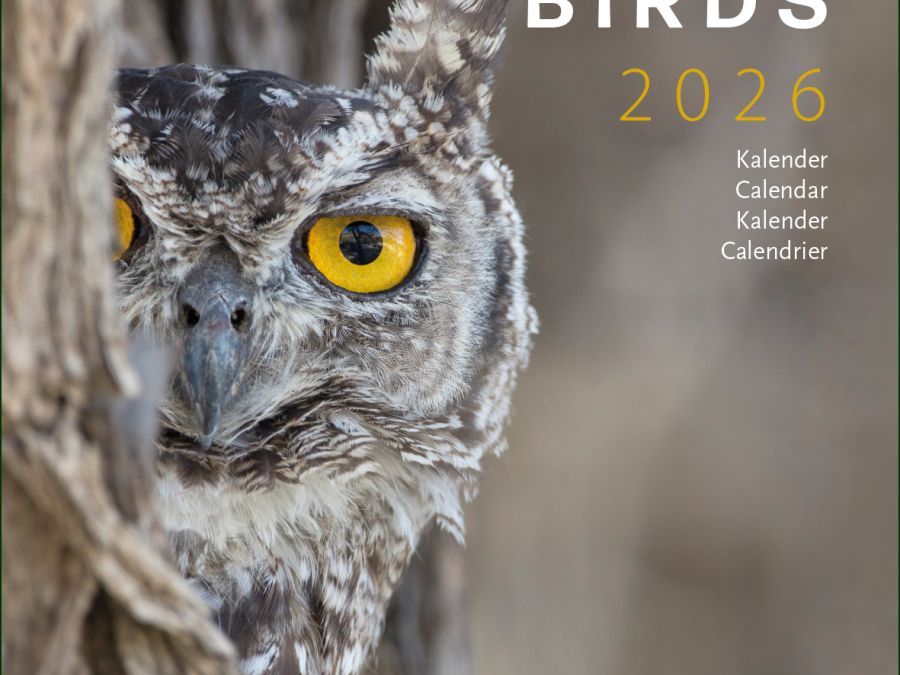 Buy Birds monthly calender 2026, bird protection service of the ...