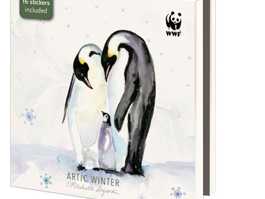 Buy Card folder with env, square: Arctic Winter, Michelle Dujardin ...