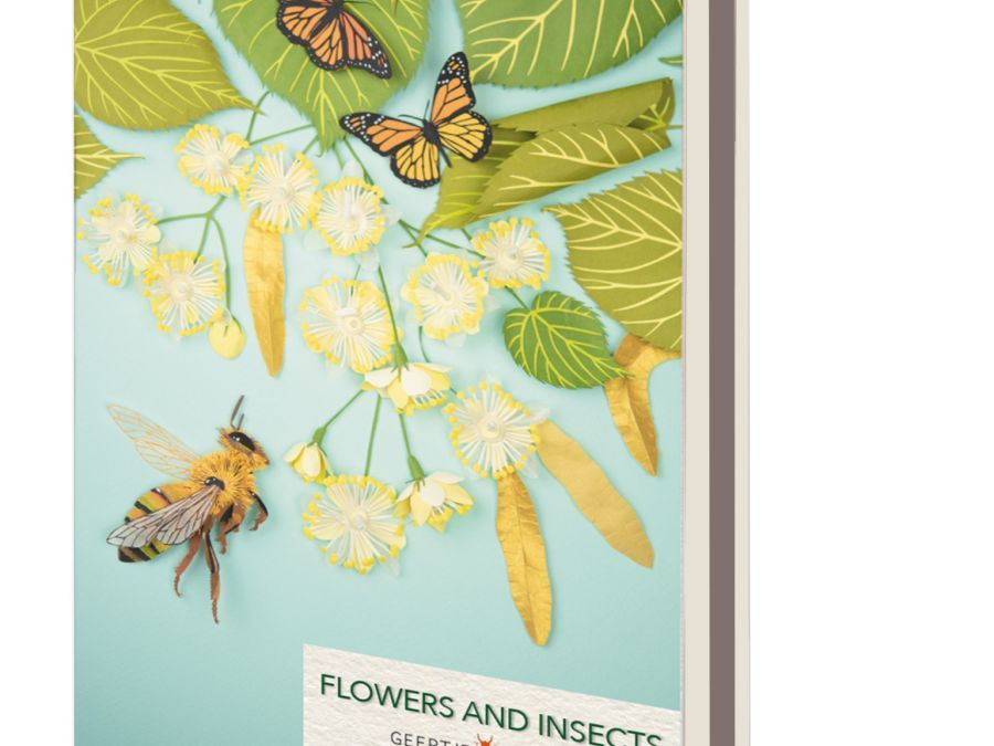 Buy Card folder with env, Small: Flowers and insects, Geertje Aalders ...
